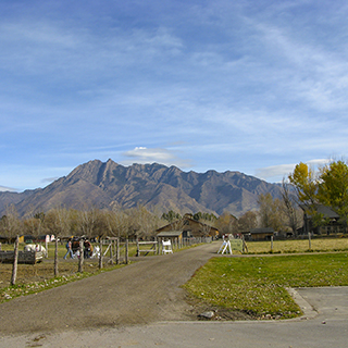 Murray, Utah - The Advocates